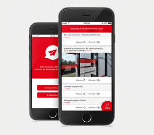 What are the benefits of the CARL Flash mobile application?